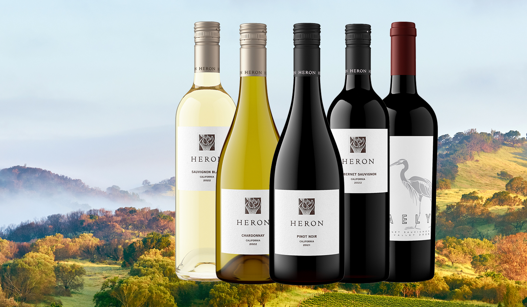 Vine Connections | Global Wine, Sake & Spirits Importer